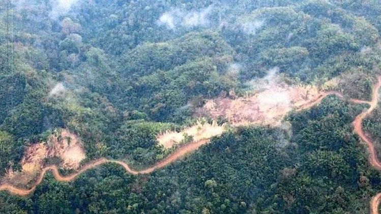 Over 13,000 sq km of forest land under encroachment across 25 states ...