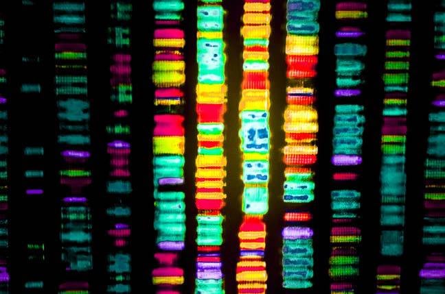 Genetic data repo OpenSNP to self-destruct before authoritarians ...