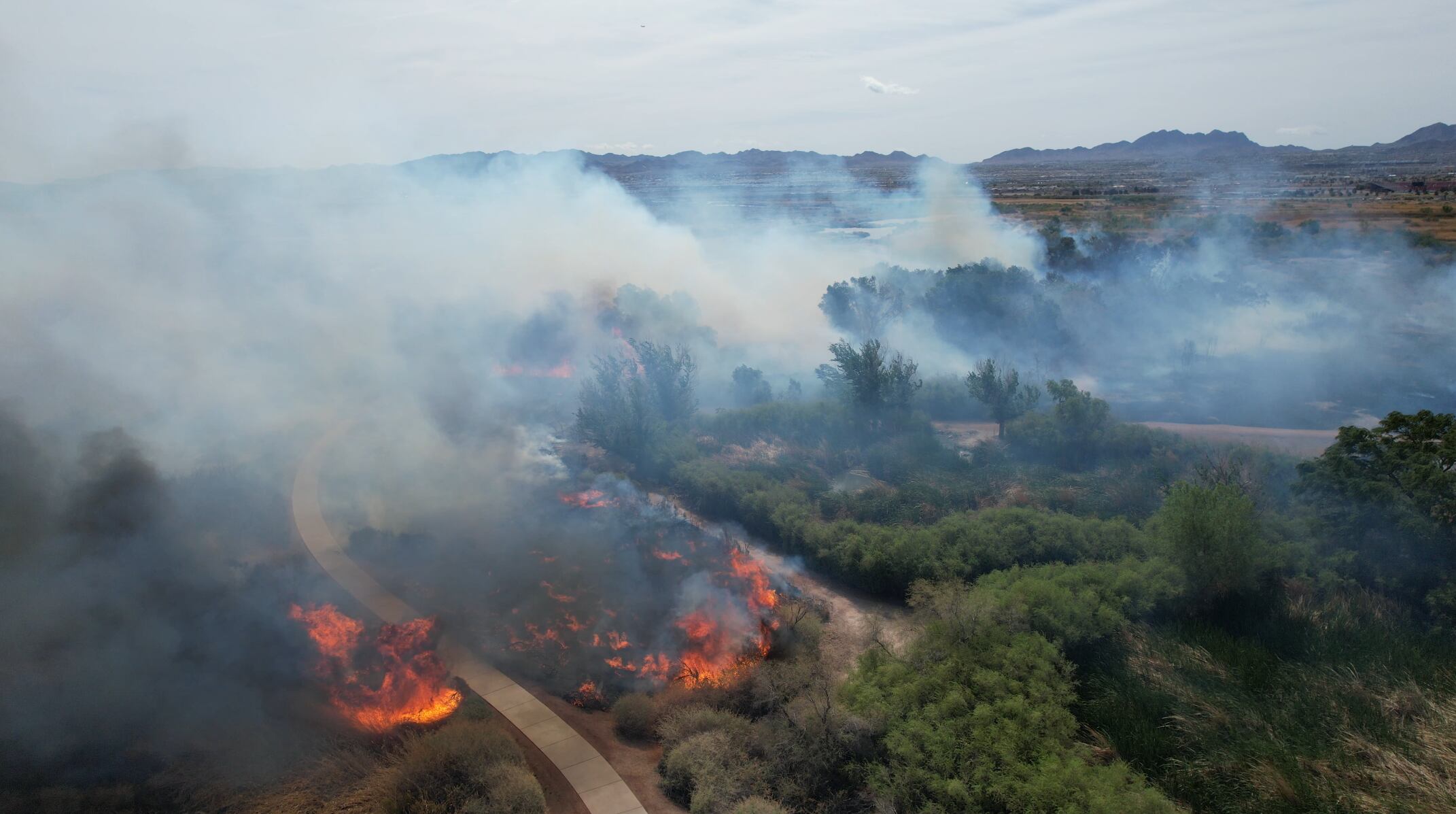 How are animal habitats at Wetlands Park impacted after 34-acre fire?