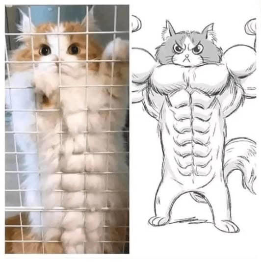 30 Funny And Relatable Drawing Memes That Really Illustrate The Struggle