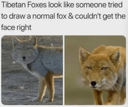 30 Funny And Relatable Drawing Memes That Really Illustrate The Struggle