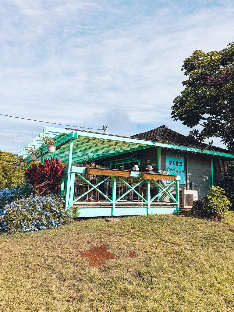 Best Must-Do Activities in Kauai, Hawaii on Vacation