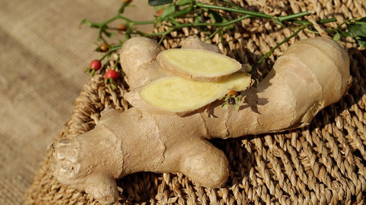Gingerol: Wirkung und wie du es nutzen kannst