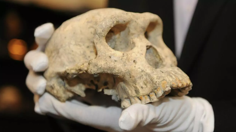 Meet 'Pink', the new face of human evolution in Europe