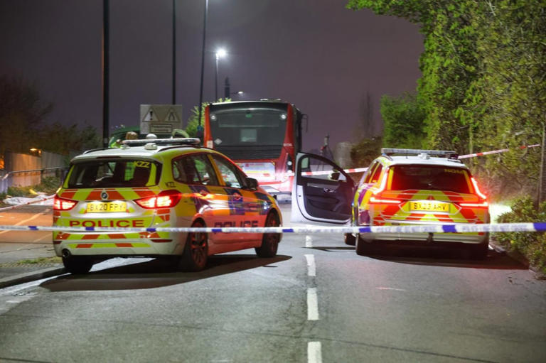 Three people killed in horror bus and car crash near Heathrow Airport ...