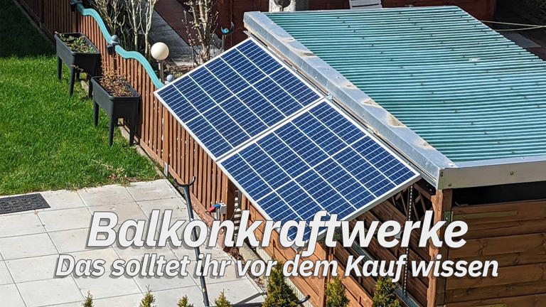 Unerwarteter Effekt: Studie zeigt, warum Solarparks wahre Paradiese für ...