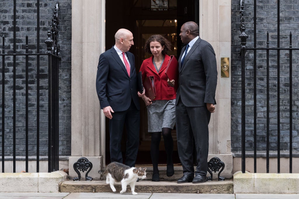Larry The Cat, Chief Mouser To The Cabinet Office, Turns 18