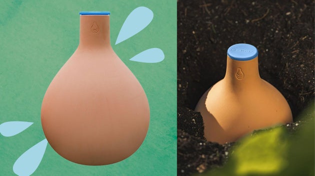 If You're Always Forgetting To Water Your Plants, This Pot Can Do It ...
