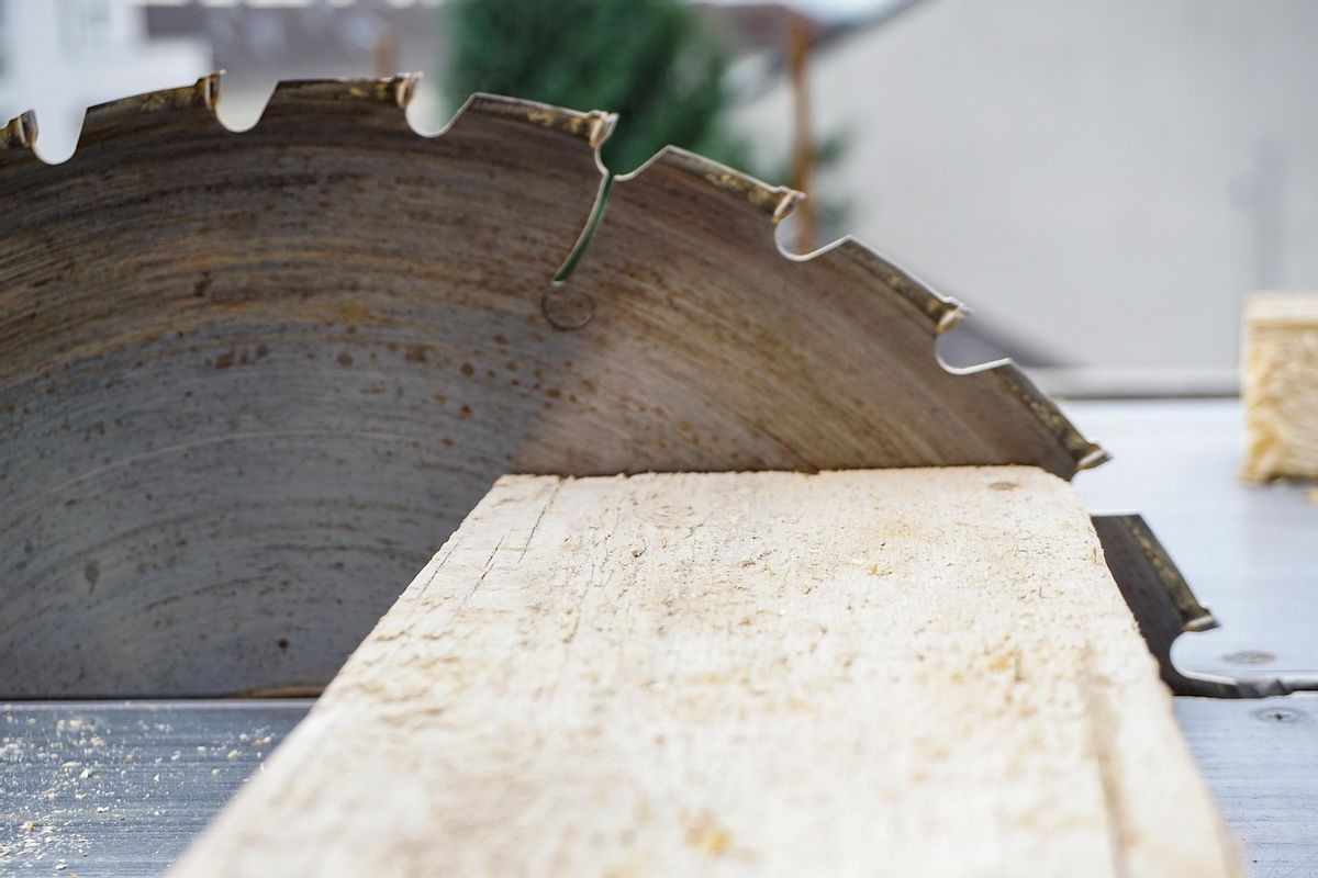 Story about Tabitha Babbitt inventing 'first practical' circular ...