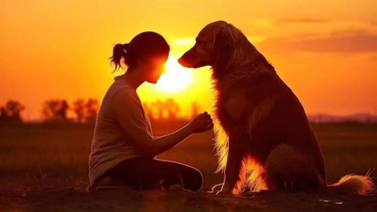 Why Having a Pet is Good for Your Mental Health & Emotional Well-Being