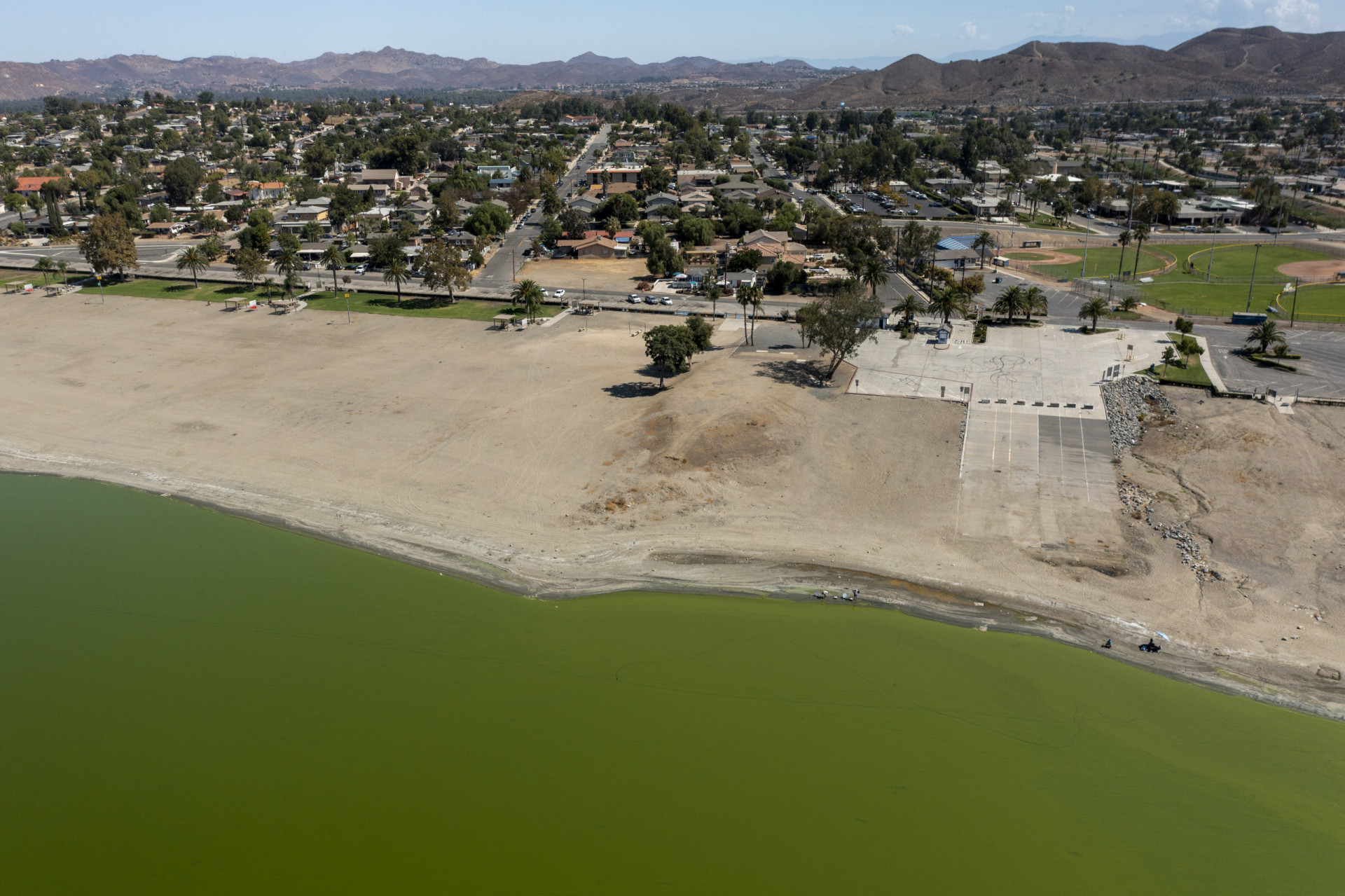 How toxic algal blooms are affecting California’s ecosystems