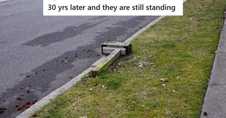 Family Got Fed Up With A Vandal Knocking Over Their Mailbox, So They ...