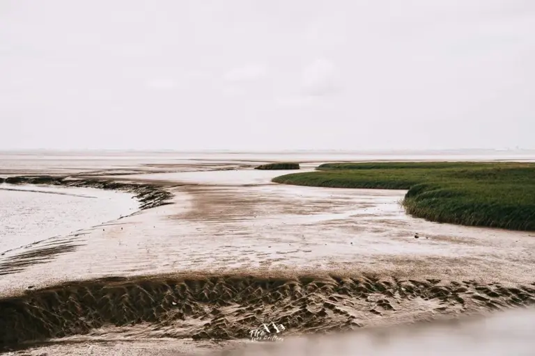 Dit zijn de 10 mooiste wandelroutes in Groningen