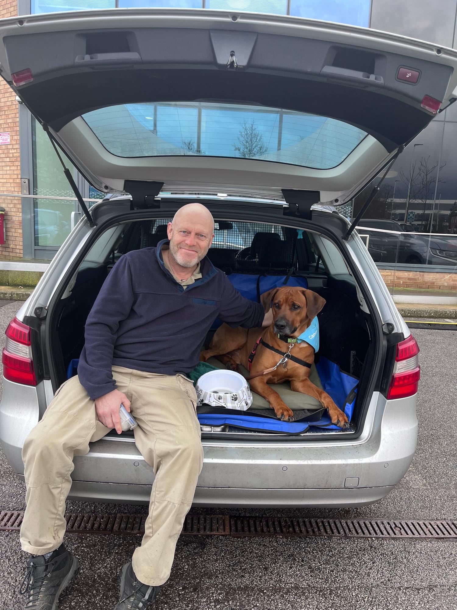 Young dog 'rings bell' to celebrate cancer all-clear after treatment at ...