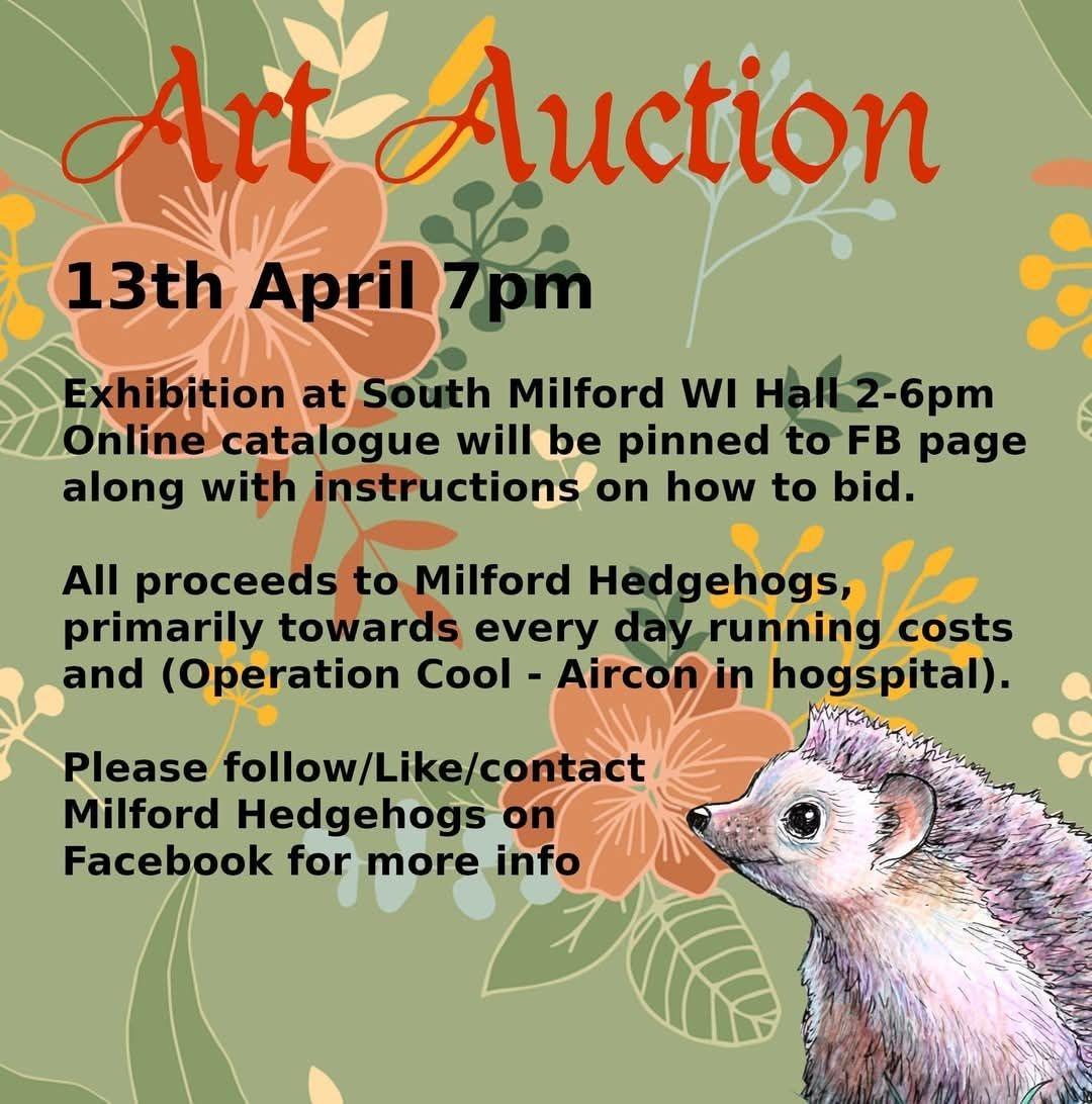 Online Art Auction to help Yorkshire's endangered hedgehogs