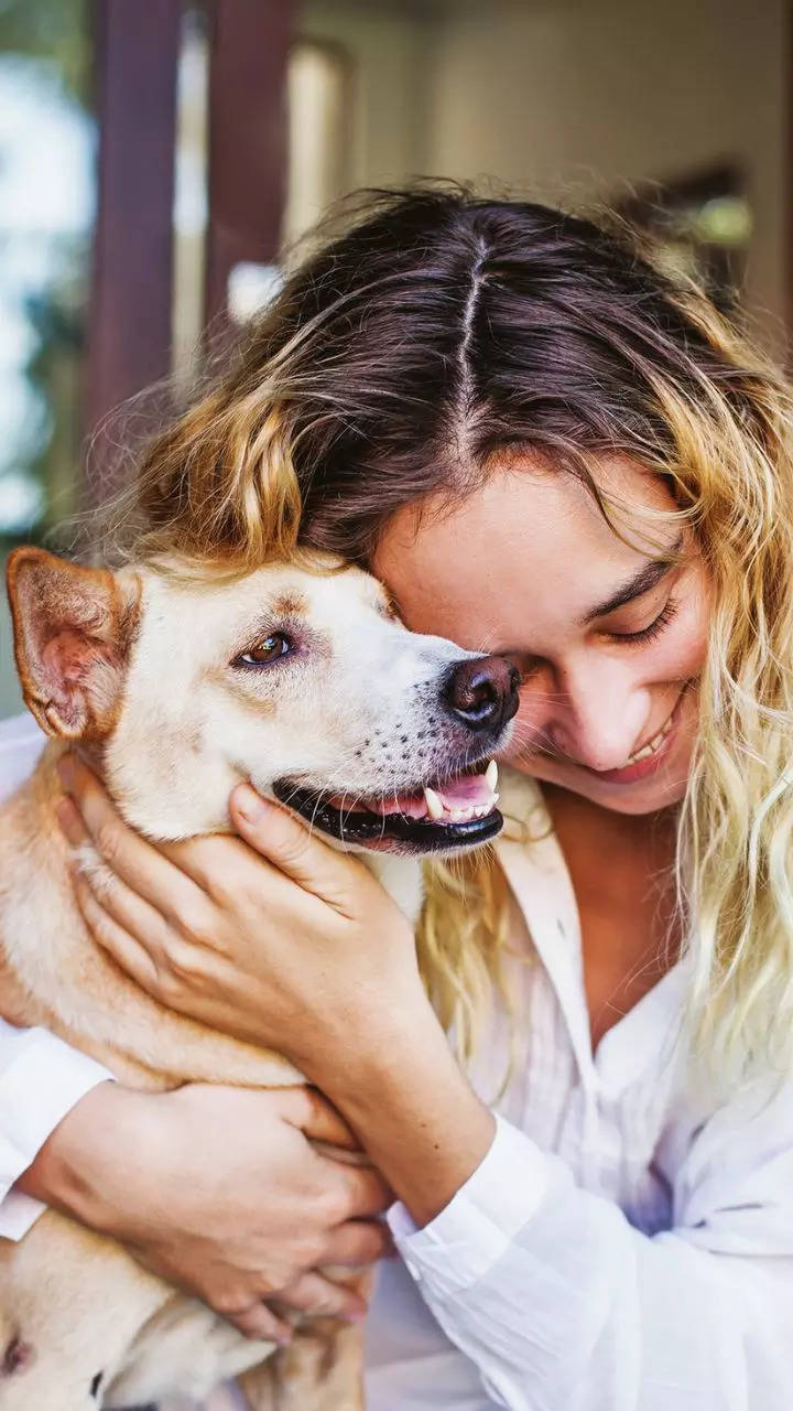 8 most intelligent pet dog breeds