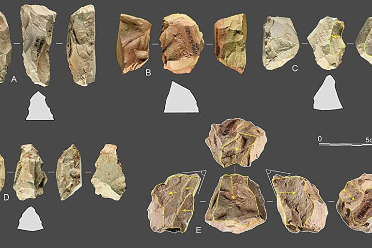How the discovery of an ancient stone tool could rewrite human history