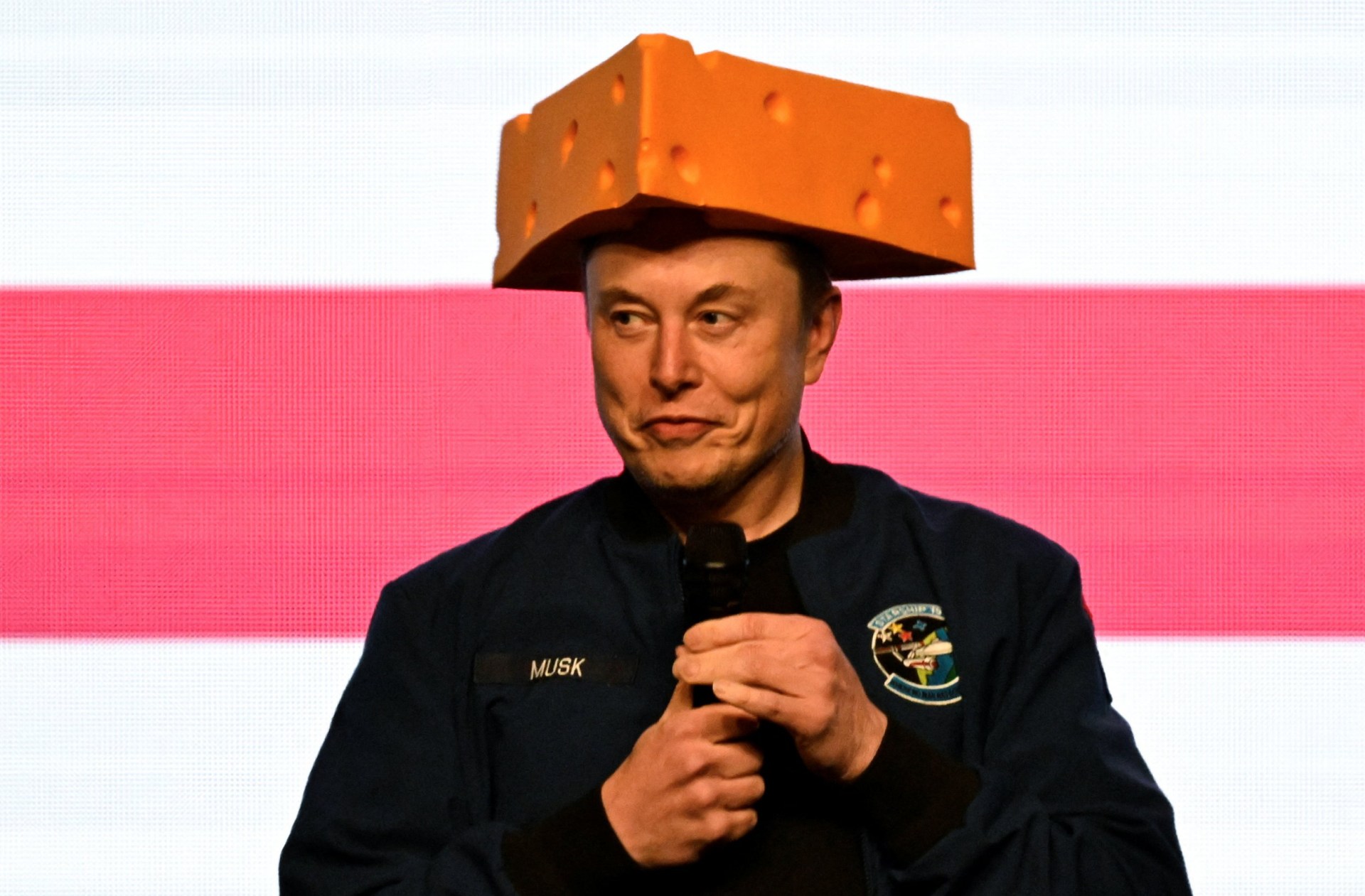 Elon Musk gave out $1,000,000 cheques - but failed to 'sway election'