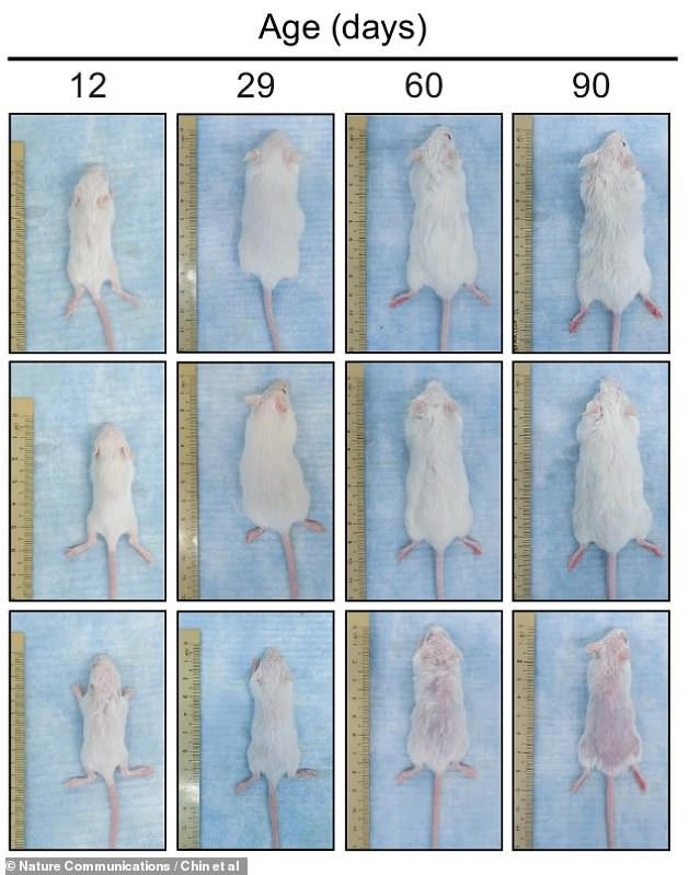 Bald men rejoice! Scientists uncover a simple way to cure hair loss