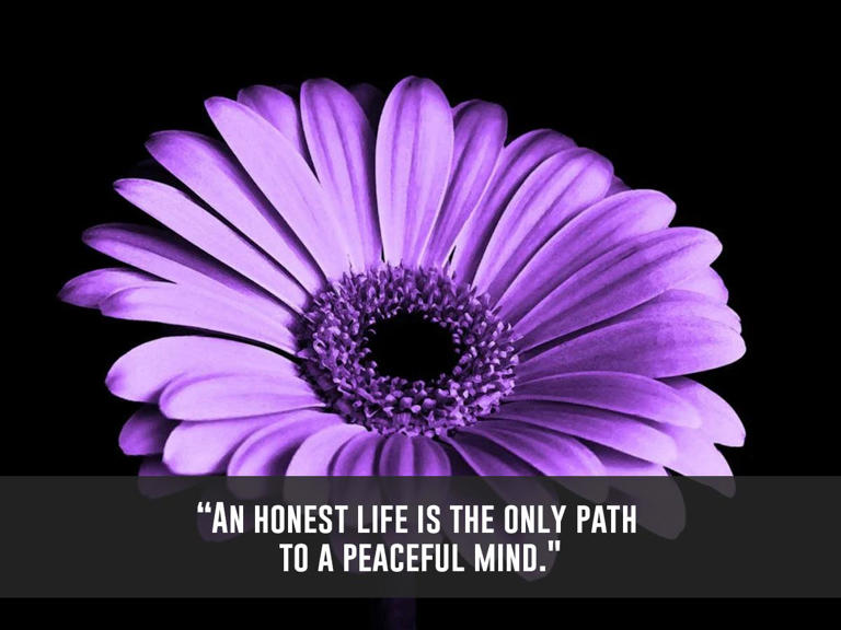 100+ Thought-Provoking Quotes On Honesty To Inspire Authenticity In ...