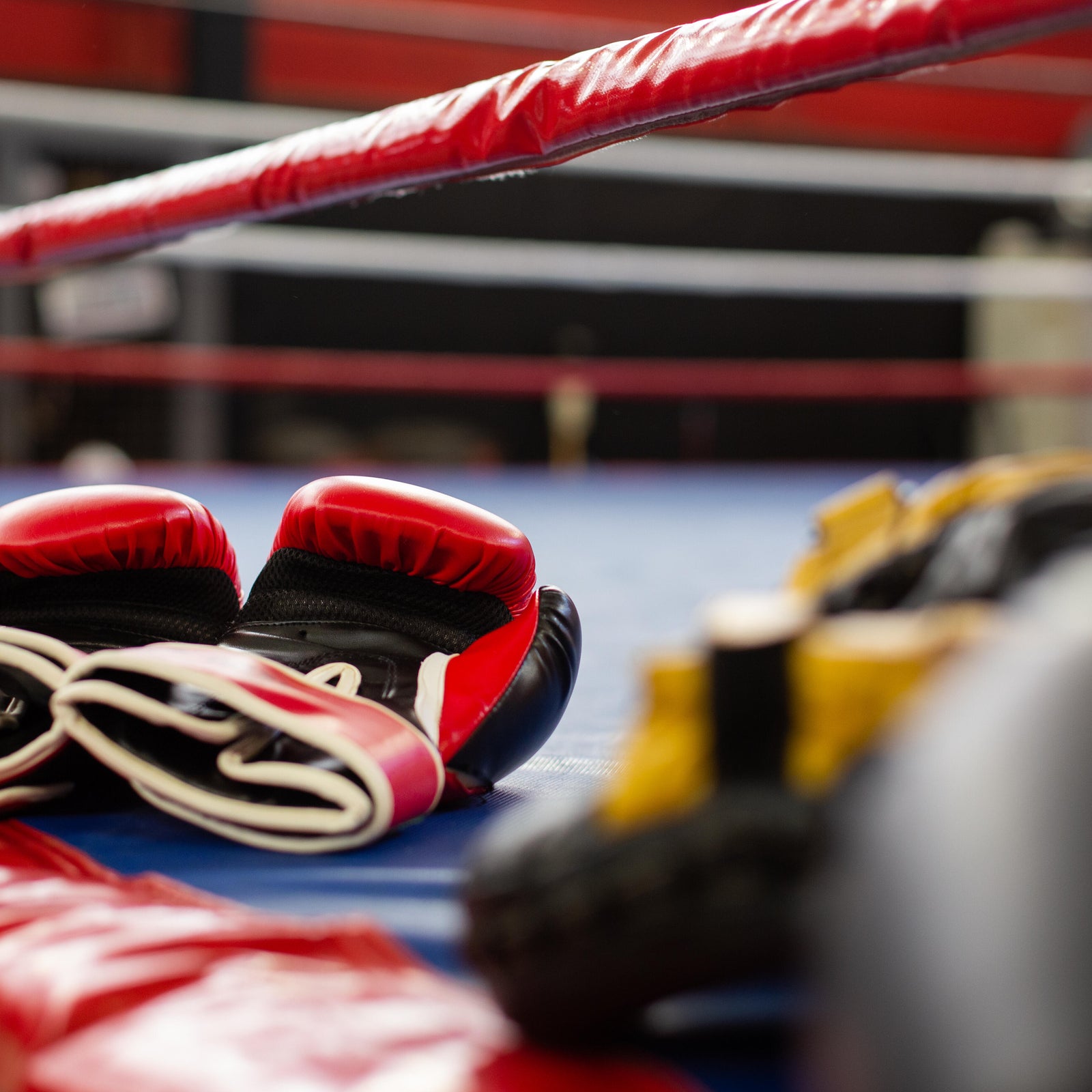 Boxer dies after collapsing during light heavyweight fight