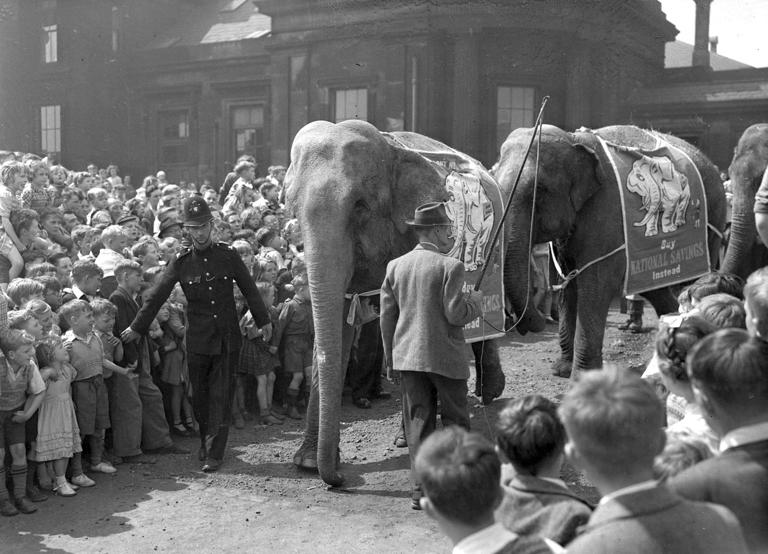 Celebrating World Elephant Day with a look at Sunderland's links to the ...