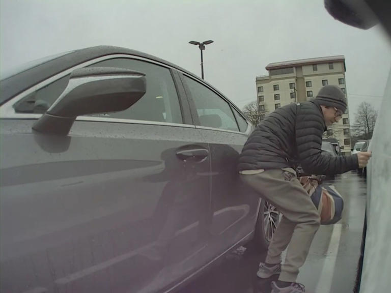 Furious Tesla owner confronts Elon Musk hater allegedly caught ...