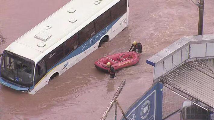 Capivaras nadam em Avenida dos Estados após chuva: veja outros impactos ...