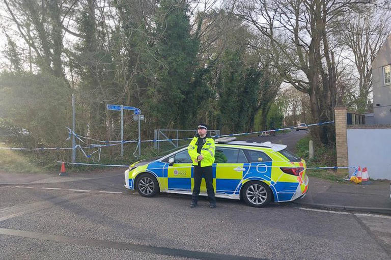 Man accused of murder after pedestrian killed in hit and run crash in ...