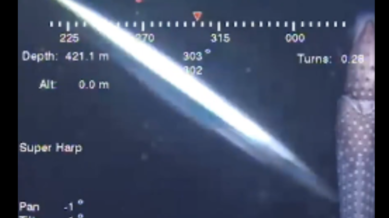 Camera Surveilling Deep In Sea Catches ‘Bright Fast-Moving Object ...