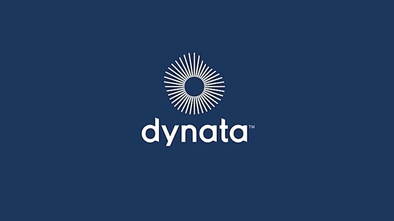 What Is Dynata? (And Why They Keep Calling You)