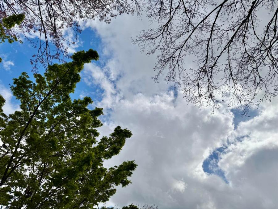 Mostly dry start to April, some to see thunderstorms in the PNW