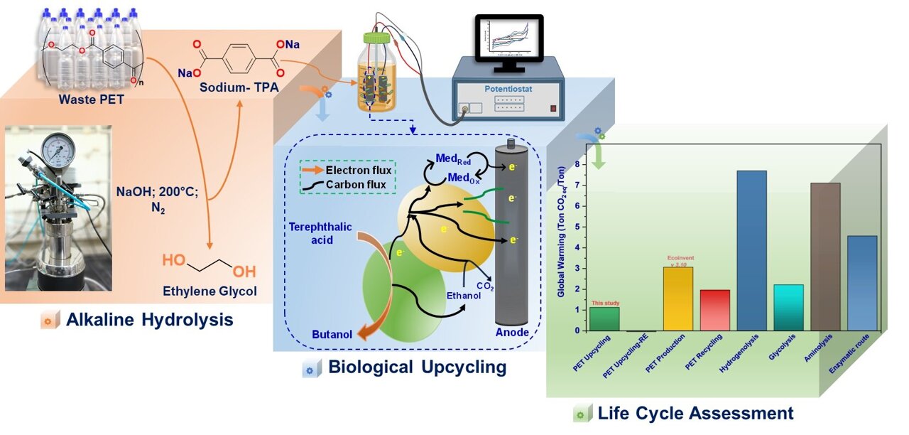 Sustainable biomanufacturing: Key to India's green transition