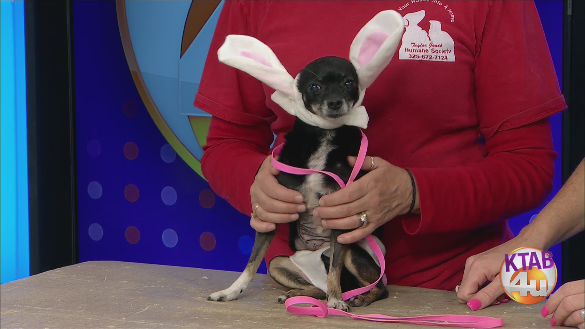 Shaylee needs a home