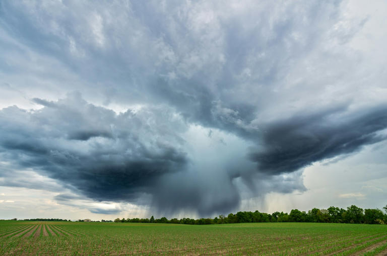 The Wonders of Weather: Exploring 20 Fascinating Phenomena The Wonders of Weather: Exploring 20 Fascinating Phenomena