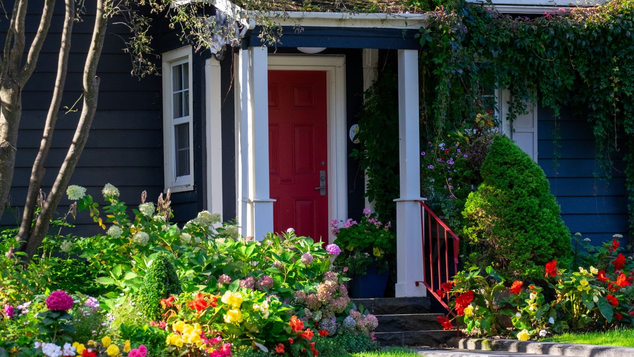 Smart Front Yard Landscaping Ideas That Boost Curb Appeal