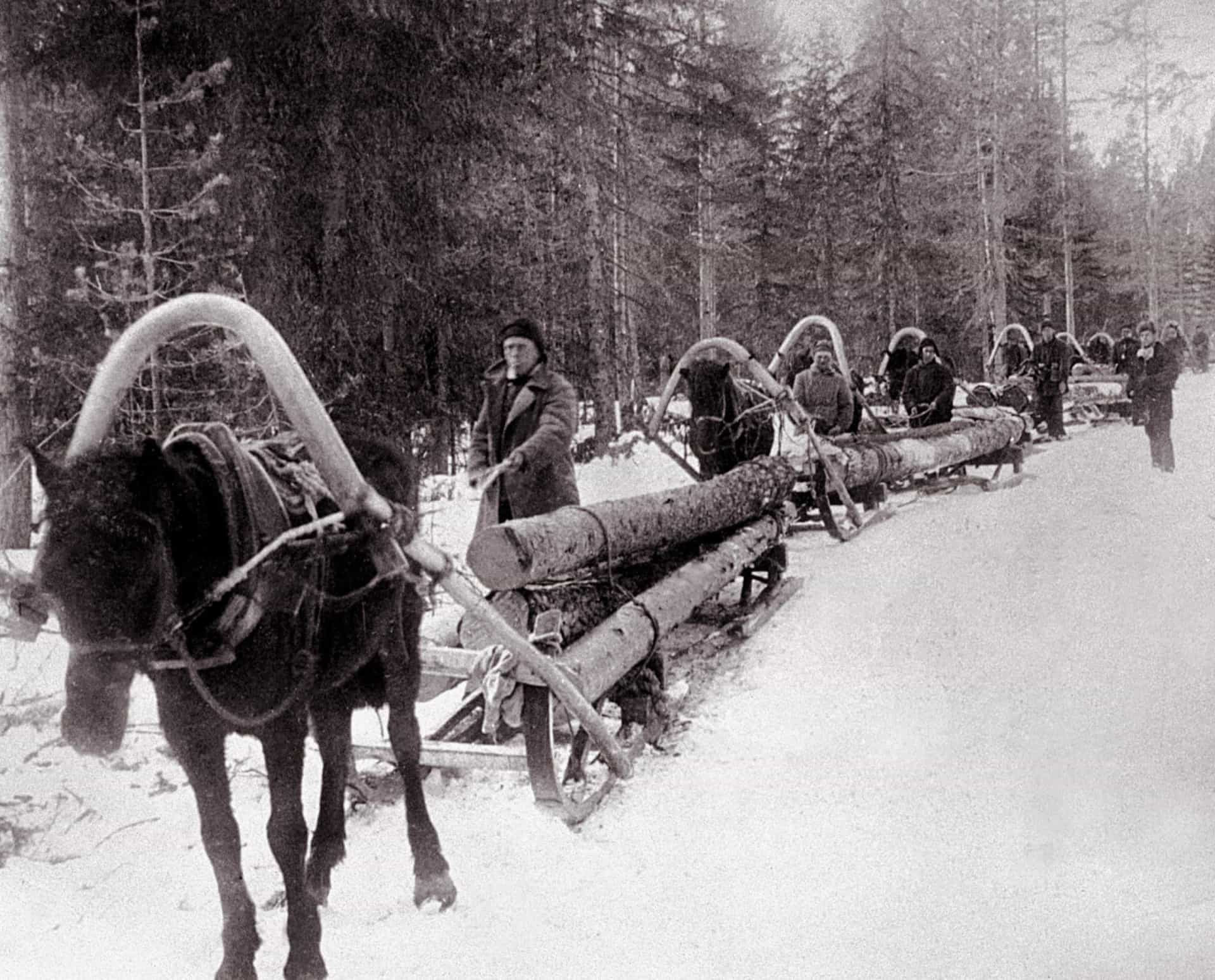 The truth about the Russian gulag