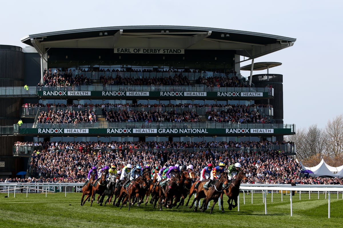 Grand National 2025: Full list of runners and horse-by-horse guide of ...