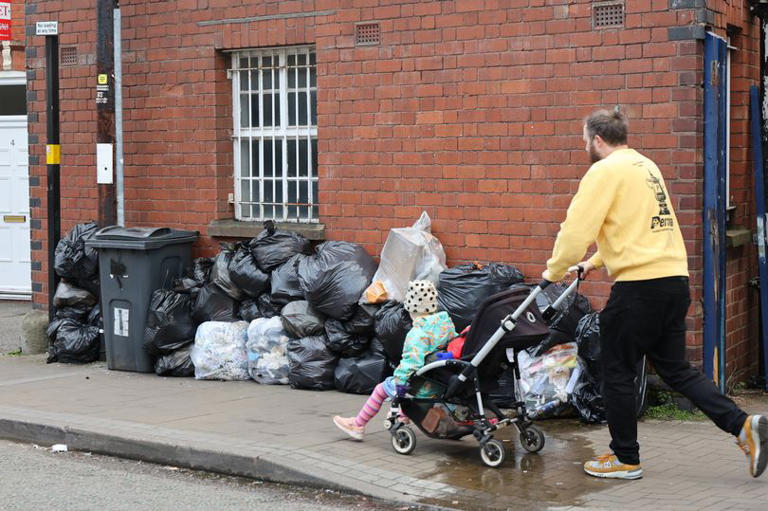 'Rats as big as cats' in Birmingham as 'war zone' streets lined with ...