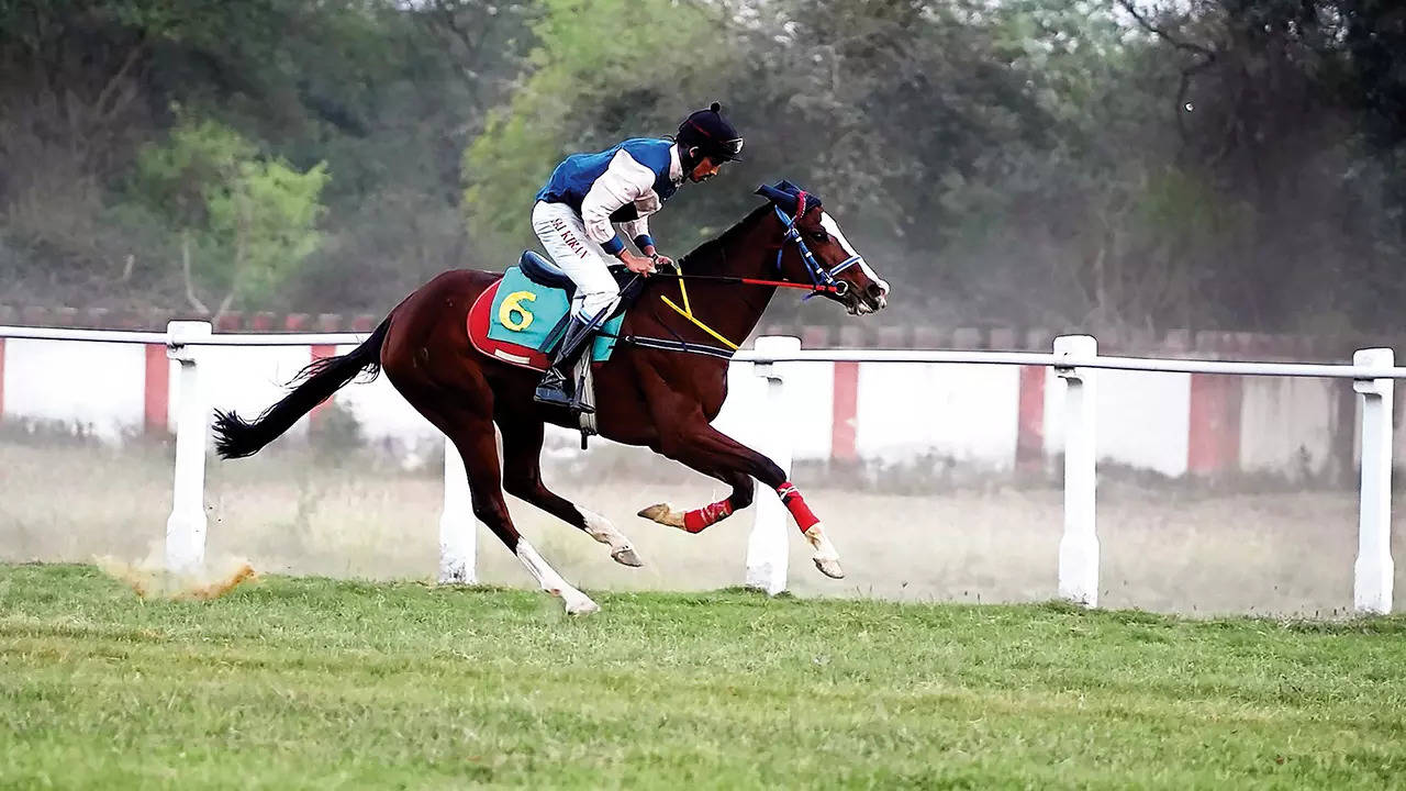 A special day at the race course