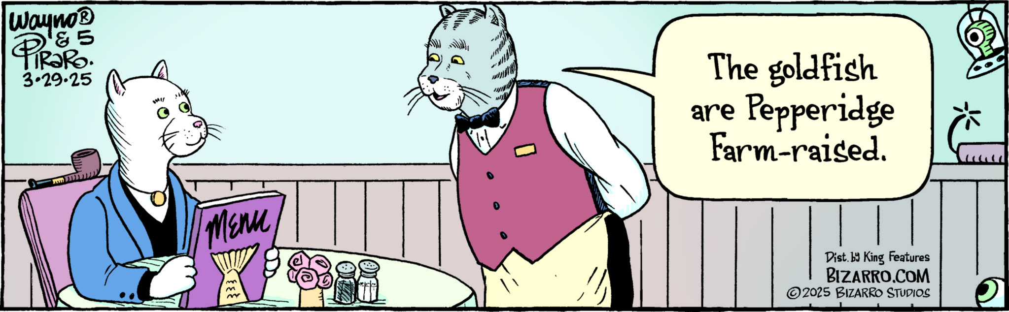 Bizarro by Wayno & Piraro