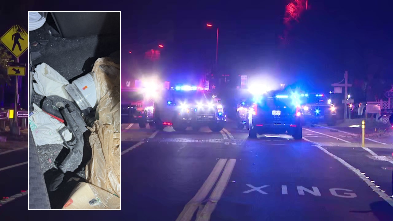 Armed woman shot by deputies after waving gun, ramming several vehicles ...