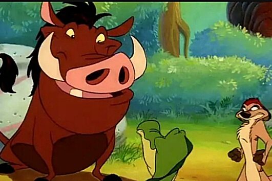 The 12 Best Cartoon Animal Duos Ever, From Timon & Pumbaa to Rocky ...