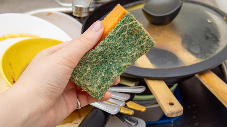 Give Old Kitchen Sponges A New Lease On Life With This Simple Hack