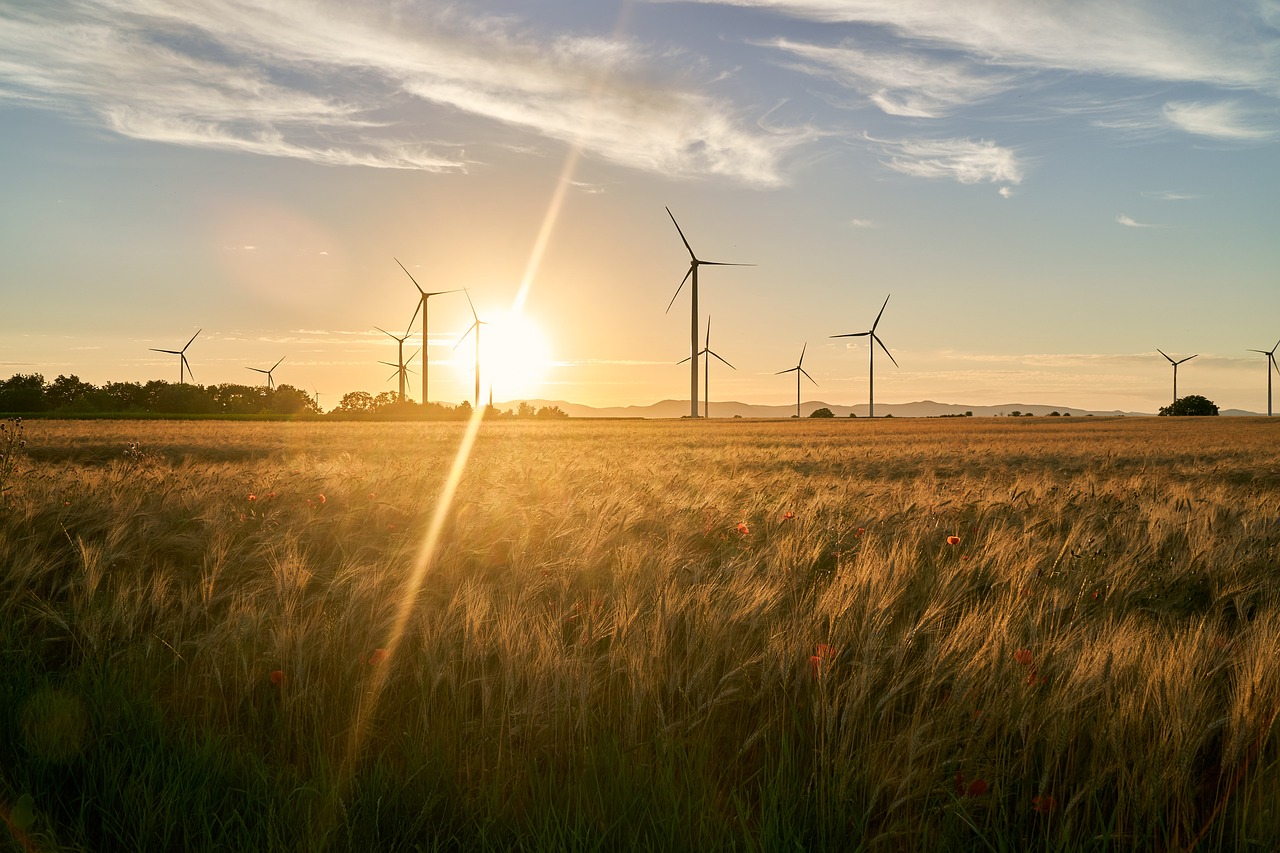 15 Renewable Energy Myths That Need to Be Debunked