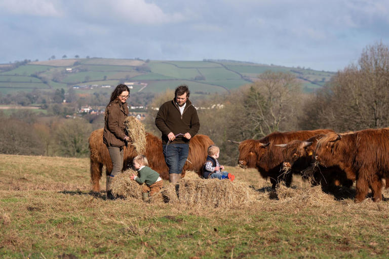 Naturally delicious – Britain celebrates Great British Beef Week 2025