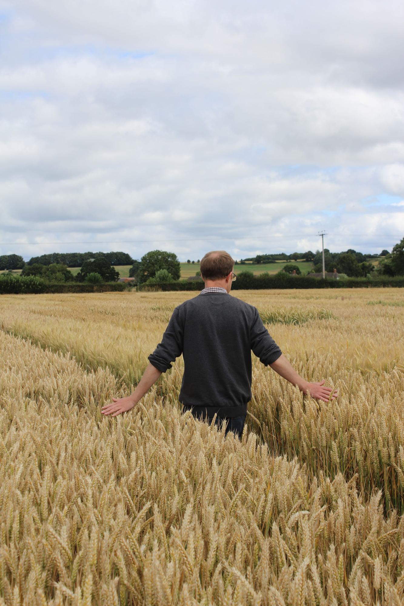 2025 Planting and Variety Survey needs your help to report early