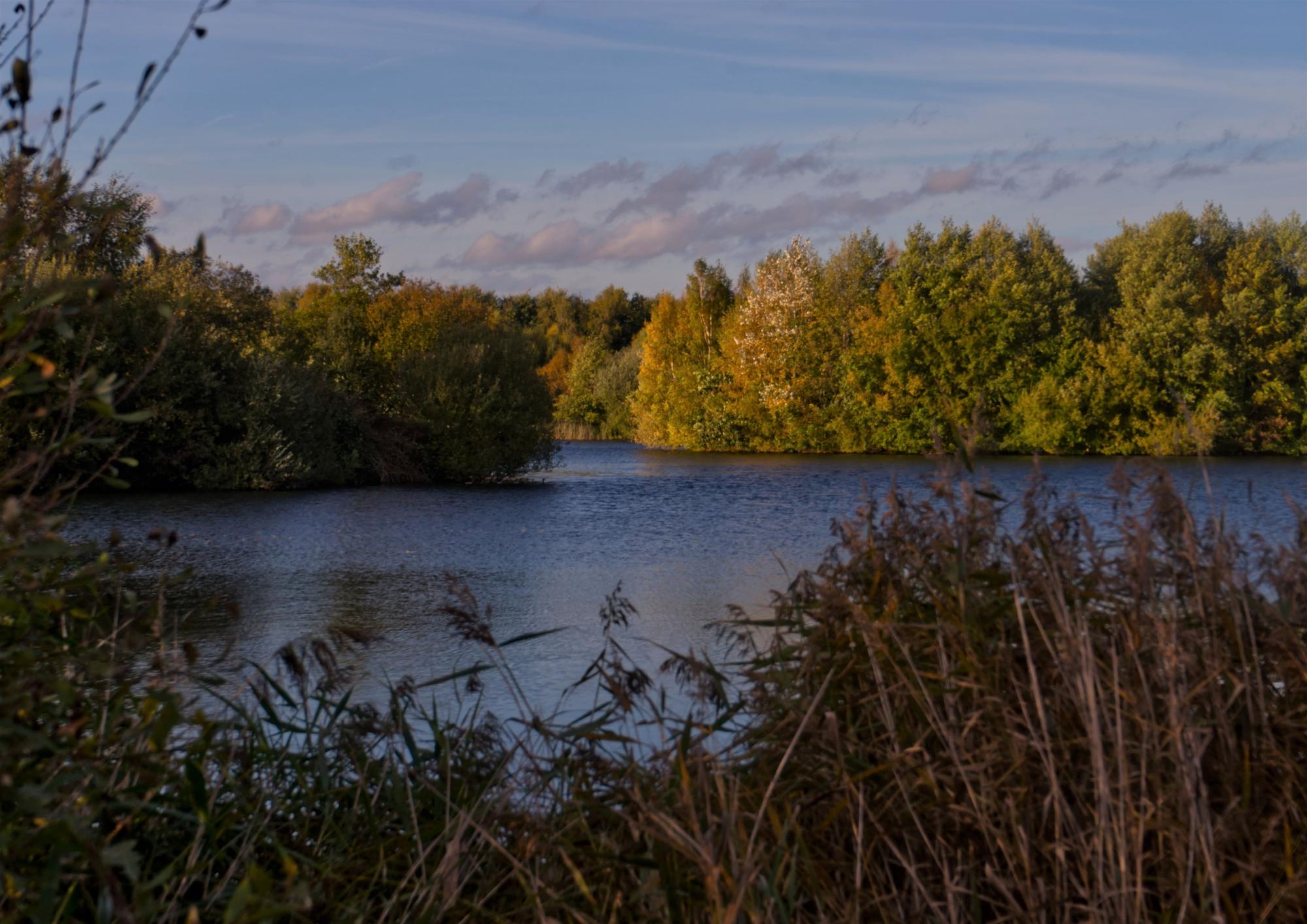 Clophill Lakes Nature Reserve opens to the public