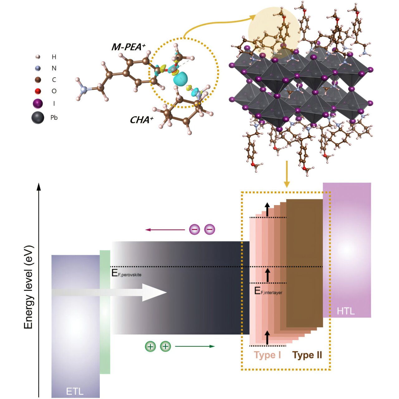 Susceptible organic cations promote stability and efficiency in ...