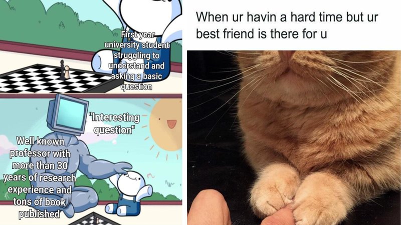 25 Wholesome Memes For Spring